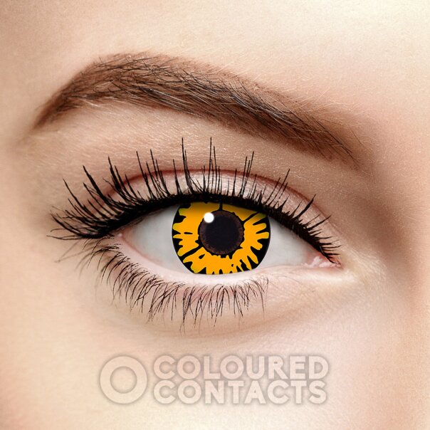 New Moon Coloured Contact Lenses (30 Day) | Coloured Contact Lenses